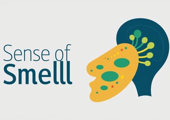 香りが分からなくなる？香りを感じにくくなる理由と対策 - 株式会社トップノート | TOP NOTE